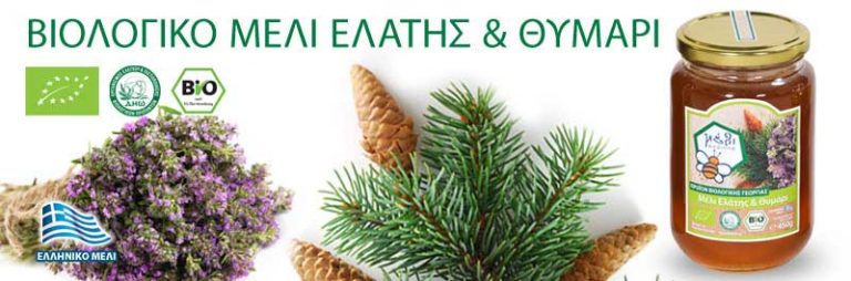 Βιολογικό Μέλι Ελάτης & Θυμάρι «ΦΑΣΙΛΗΣ» - βιοΠοιότητα